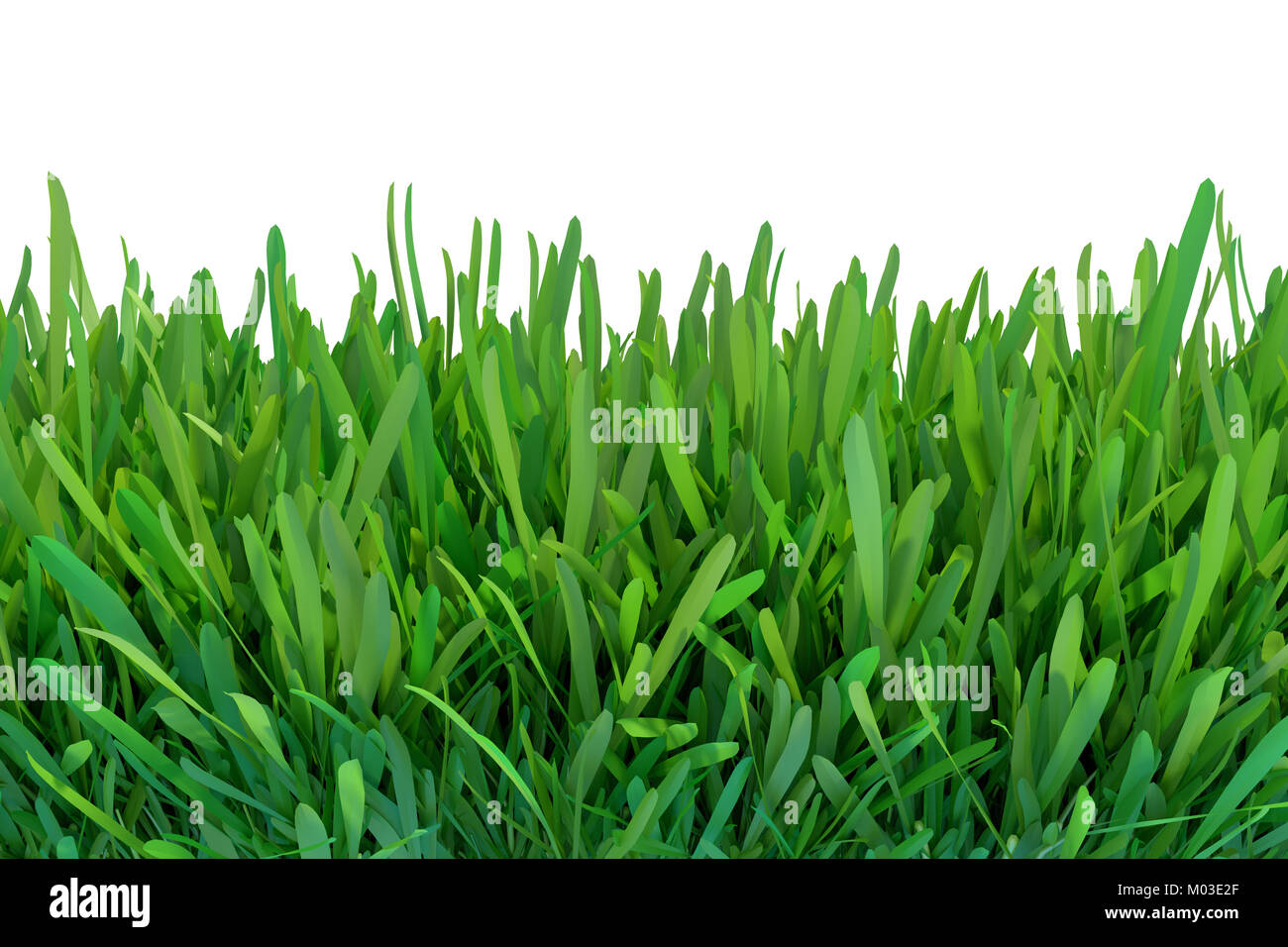 Green grass. Natural grass texture background. Meadow. Spring, summer ...
