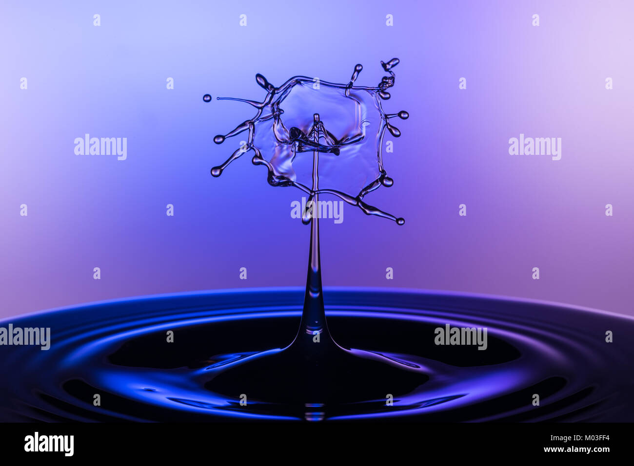 Water droplet splash - Blue and purple Stock Photo - Alamy