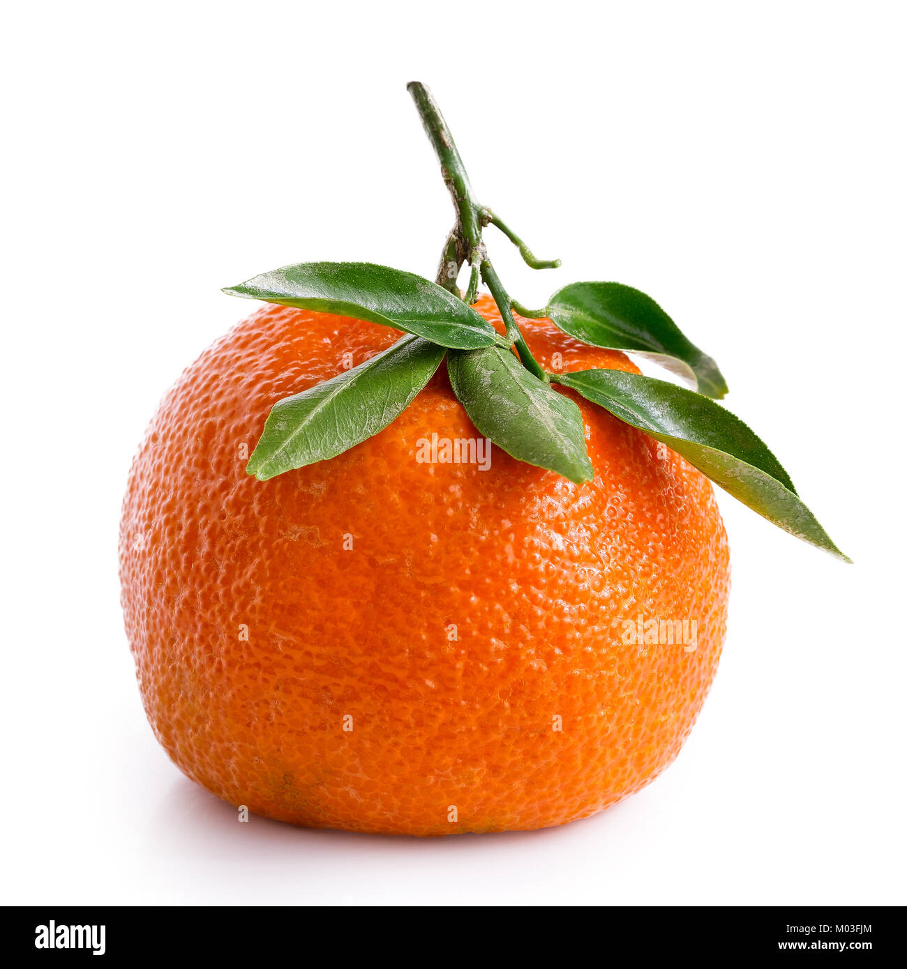A single whole mandarin with a stem and leaves isolated on white Stock ...