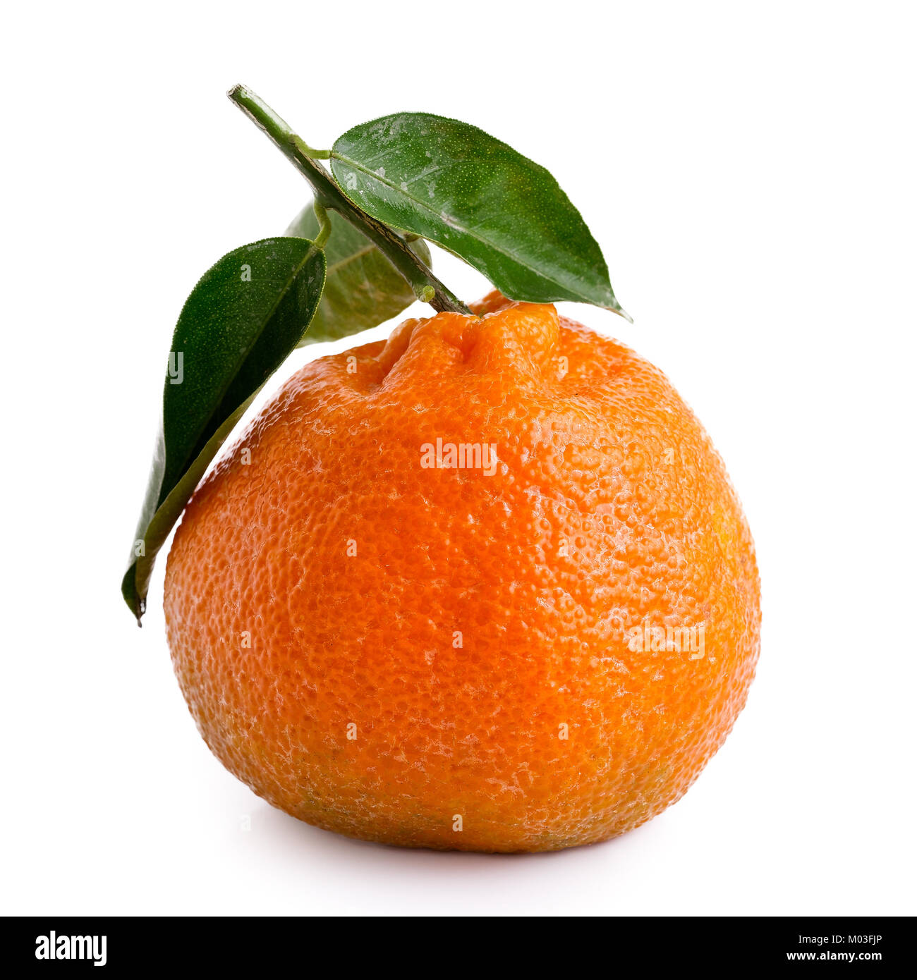 A single whole mandarin with a stem and leaves isolated on white Stock ...
