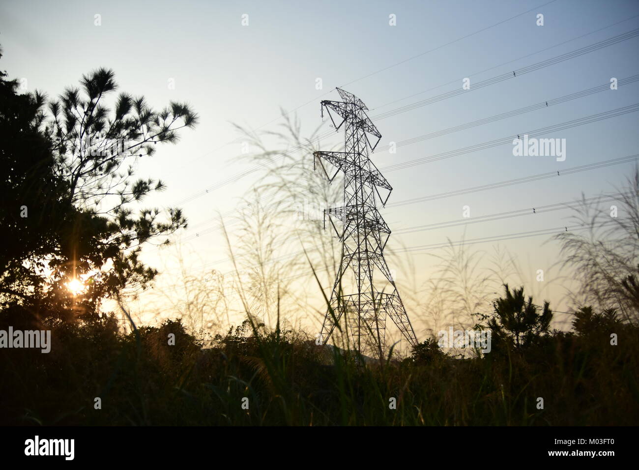 Powerline sky hi-res stock photography and images - Alamy