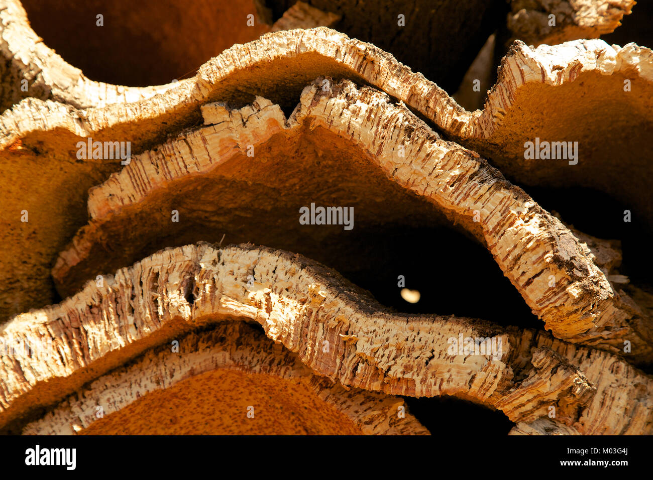 Cork bark pile hi-res stock photography and images - Alamy