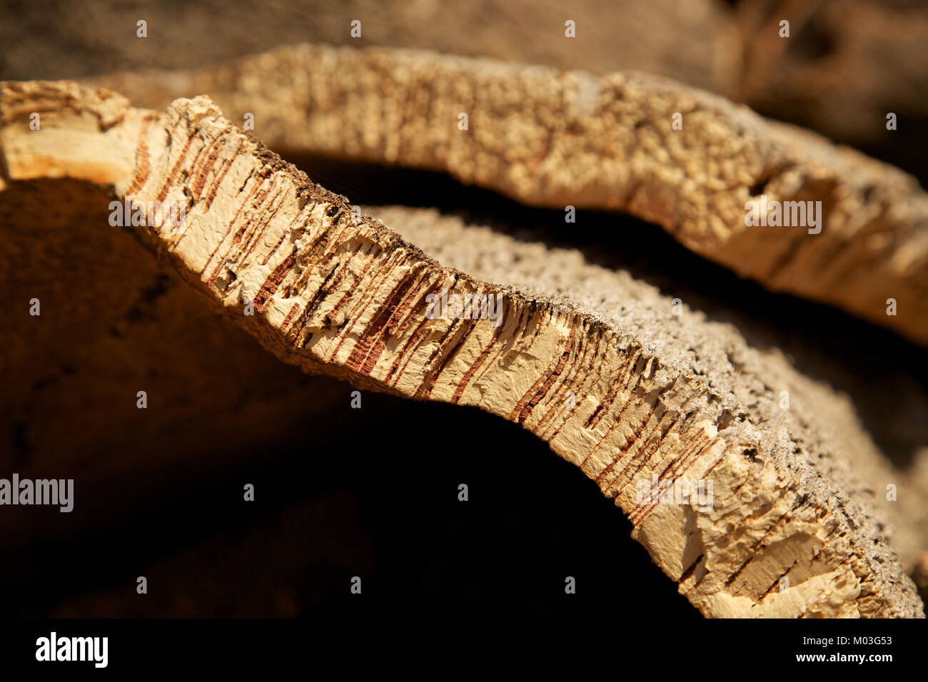Cork bark pile hi-res stock photography and images - Alamy