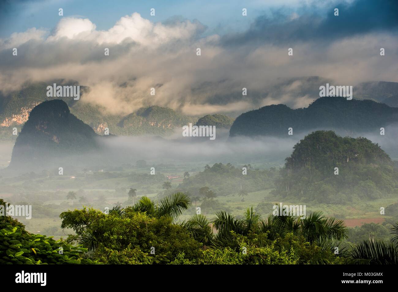 Aerial of tropical sunrise hi-res stock photography and images - Alamy