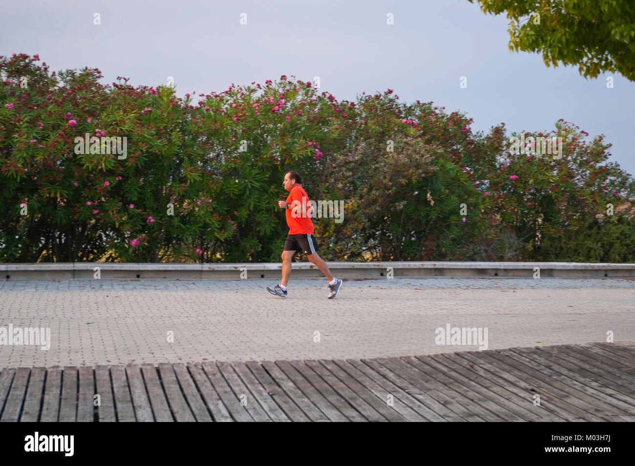 Old man running hi-res stock photography and images - Alamy