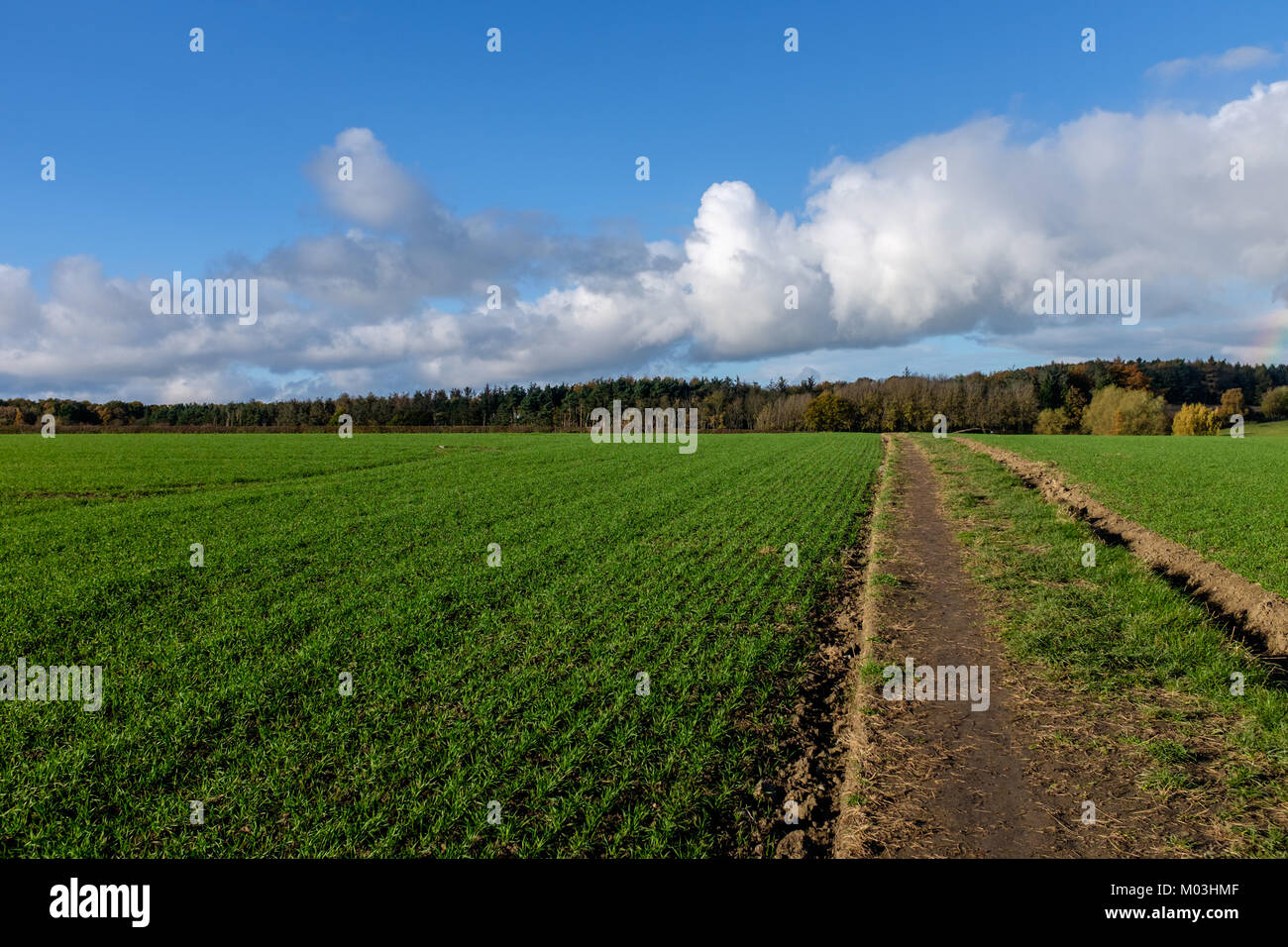 Grass field on farm land with footpath Stock Photo - Alamy