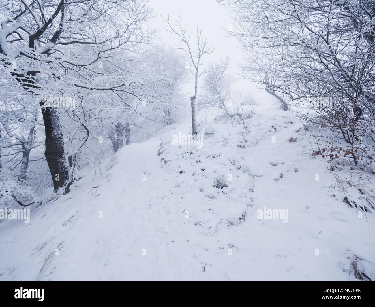 Snowdrift on hillside hi-res stock photography and images - Alamy