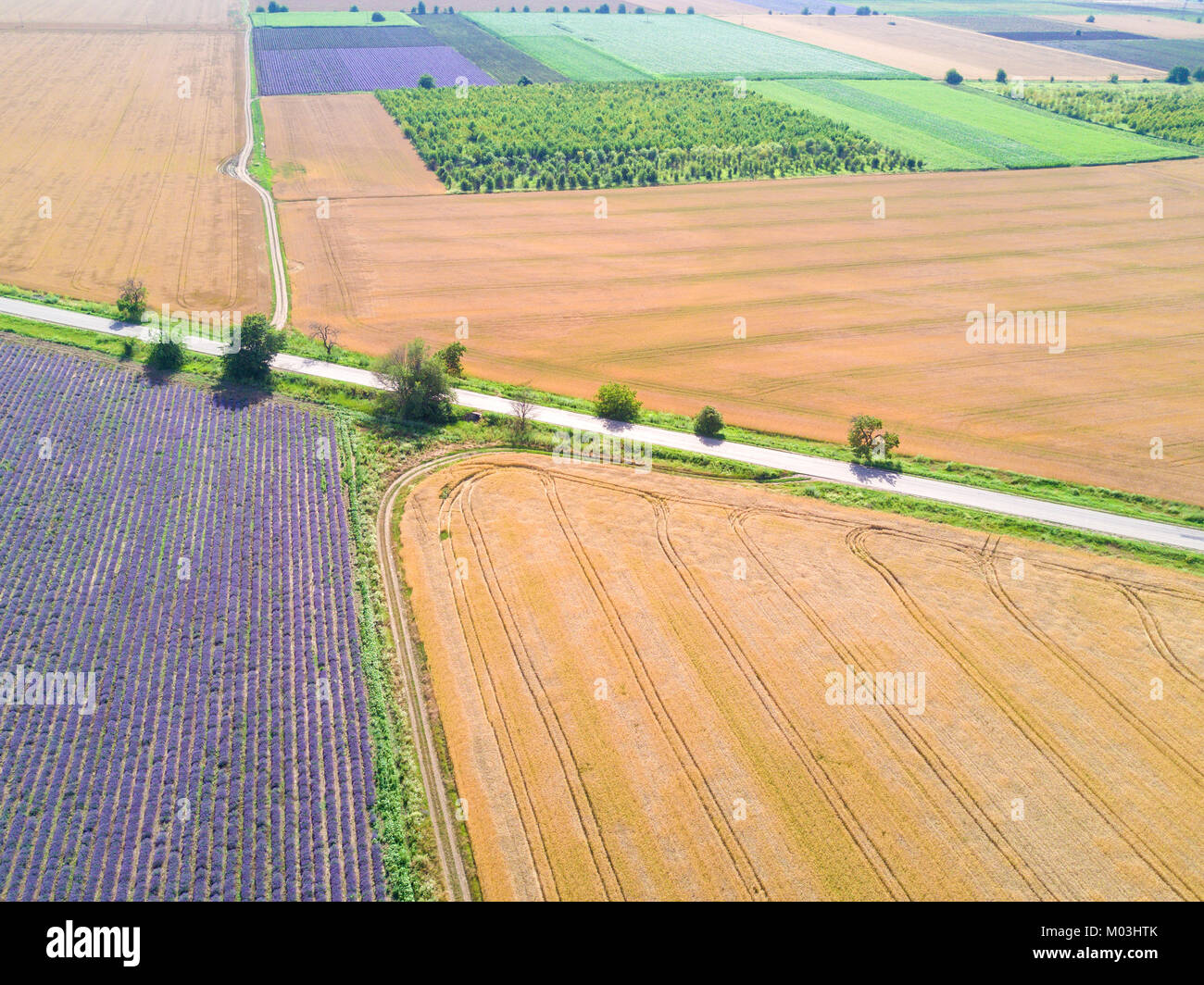 Aerial view of agricultural fields Stock Photo - Alamy