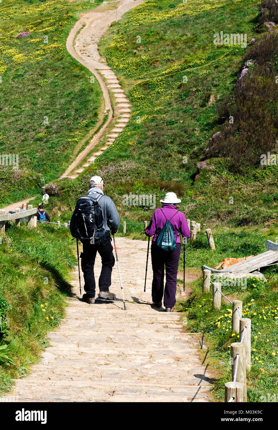 people walking the southwest coast path in cornwall, england, britain ...