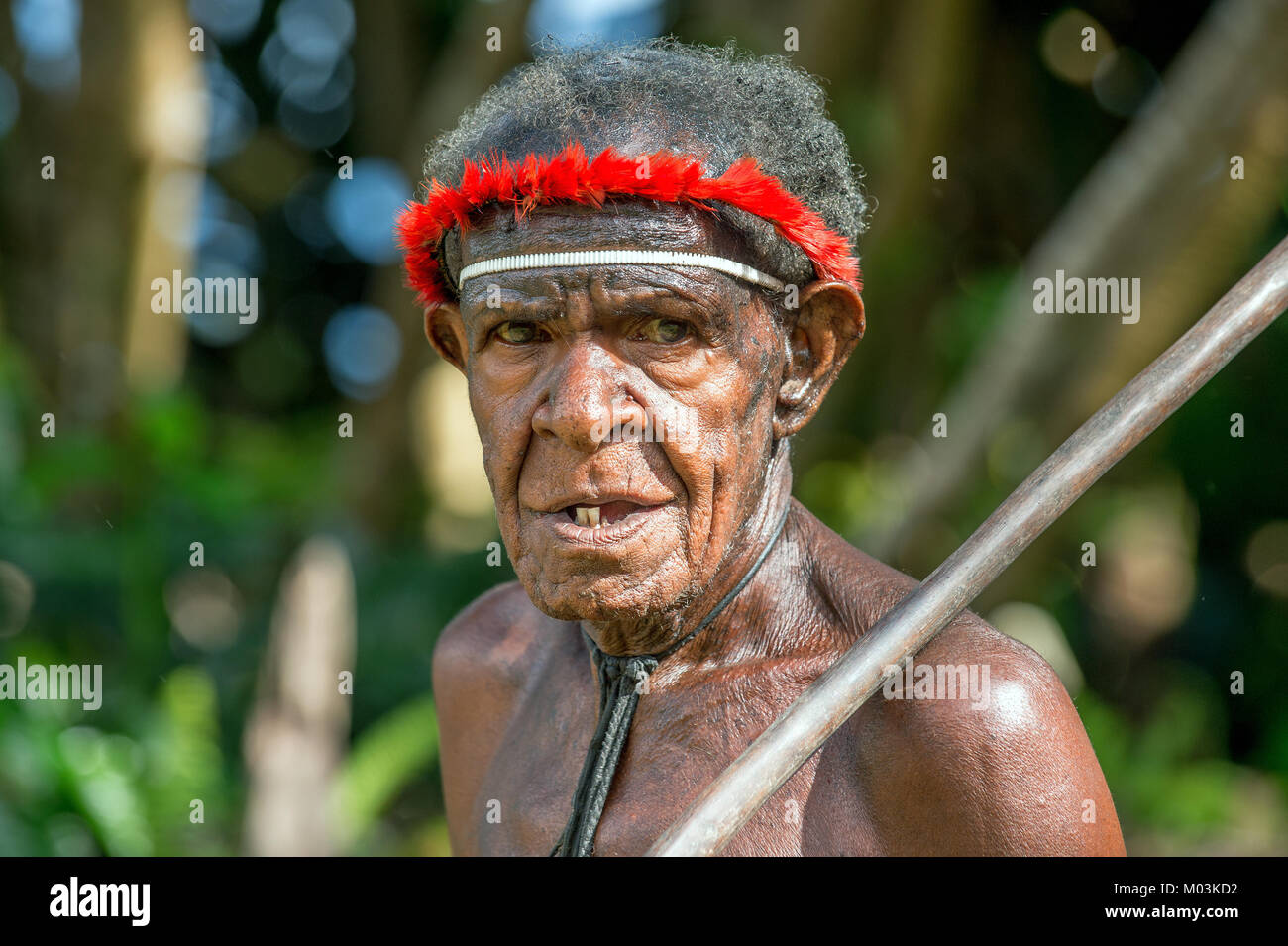 Indonesia irian jaya indigenous people hi-res stock photography and ...