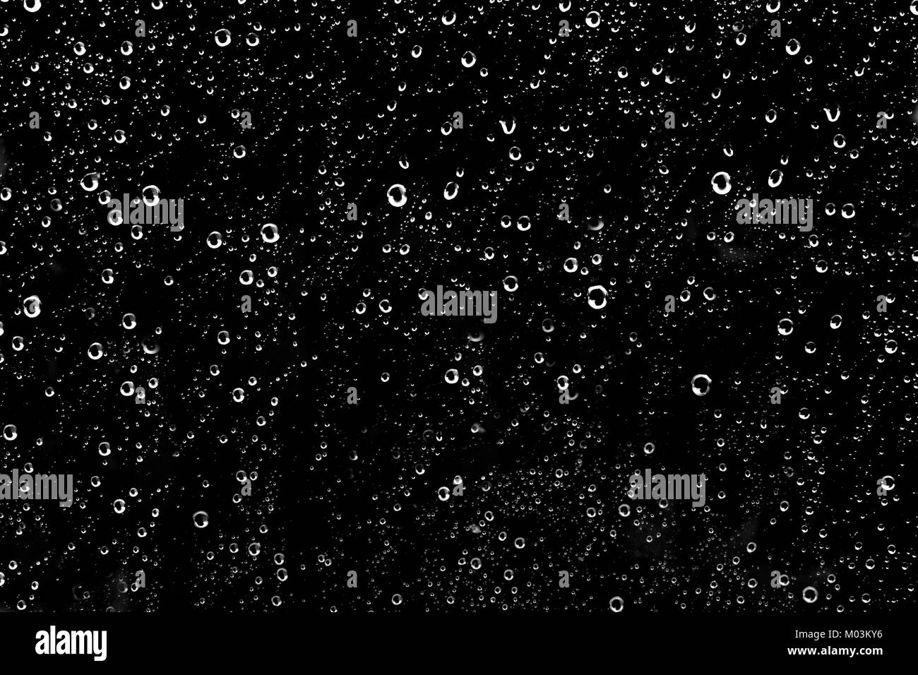 Hundreds of white rain drops on a glass window with a black background ...
