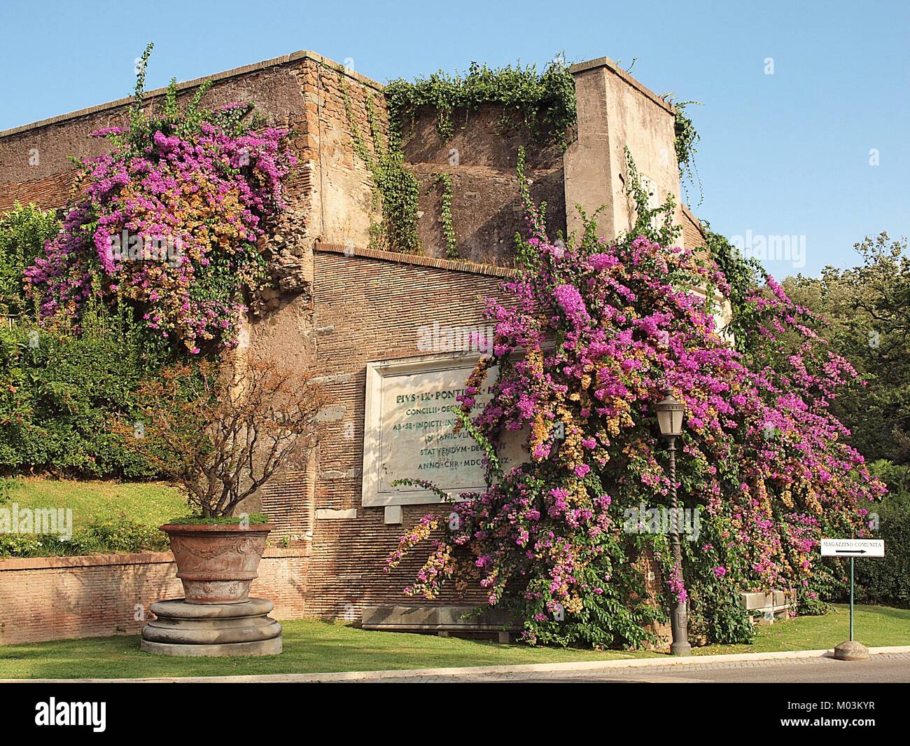 Cacti and plants on a wall in Vatican Gardens in Rome Stock Photo - Alamy