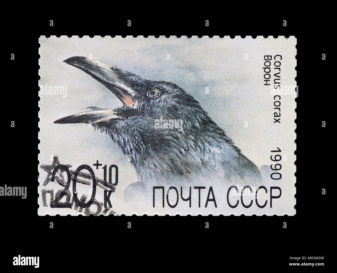 Cancelled postage stamp printed by Soviet Union, that shows Common ...
