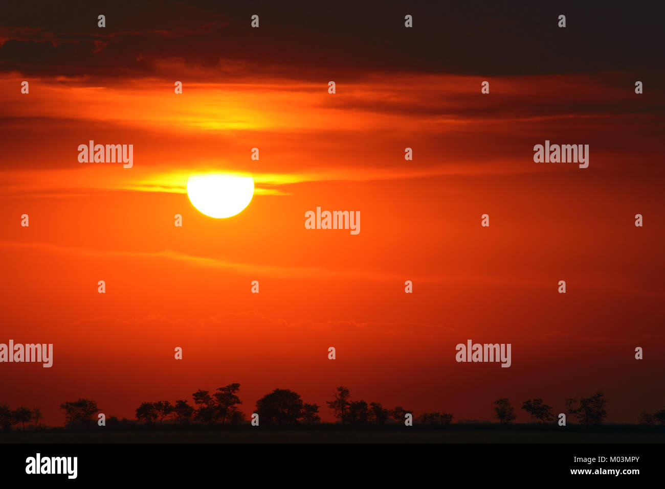Bright red sunrise on the sky Stock Photo - Alamy
