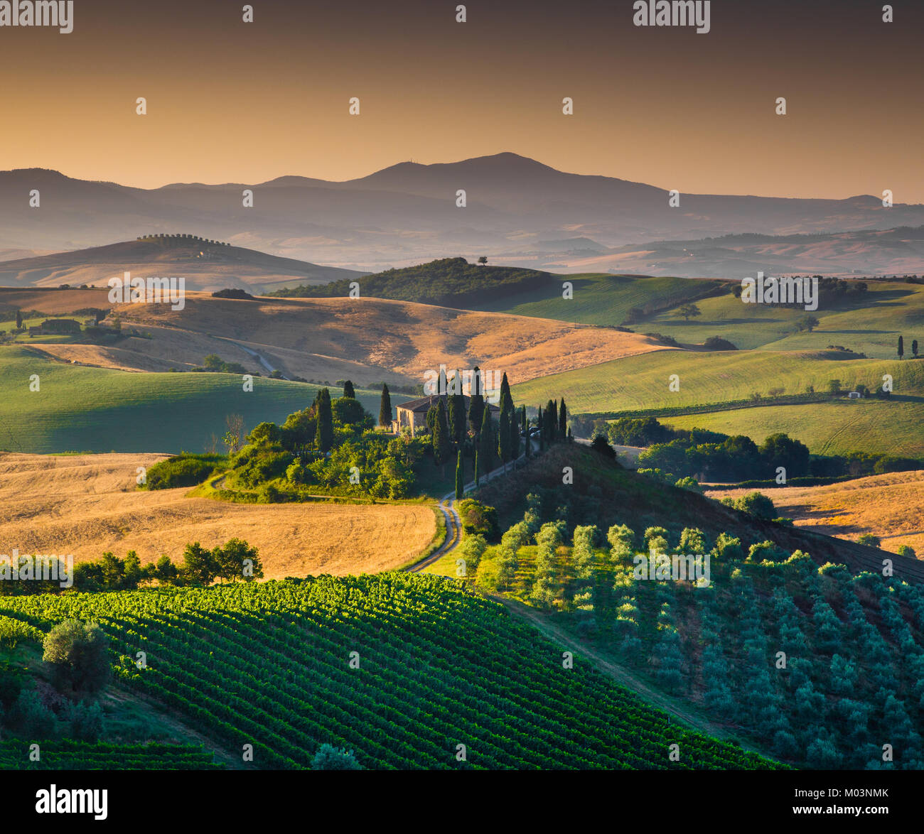 Scenic Tuscany landscape with rolling hills and valleys in golden ...