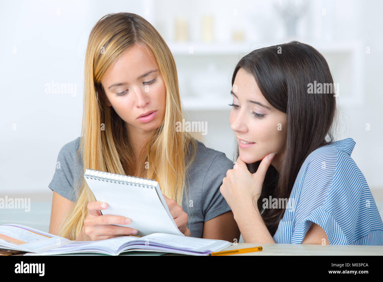 two females student learning together for exam Stock Photo - Alamy