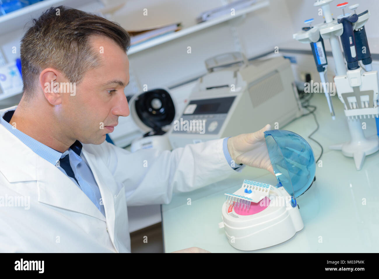 biological scientist at work Stock Photo - Alamy