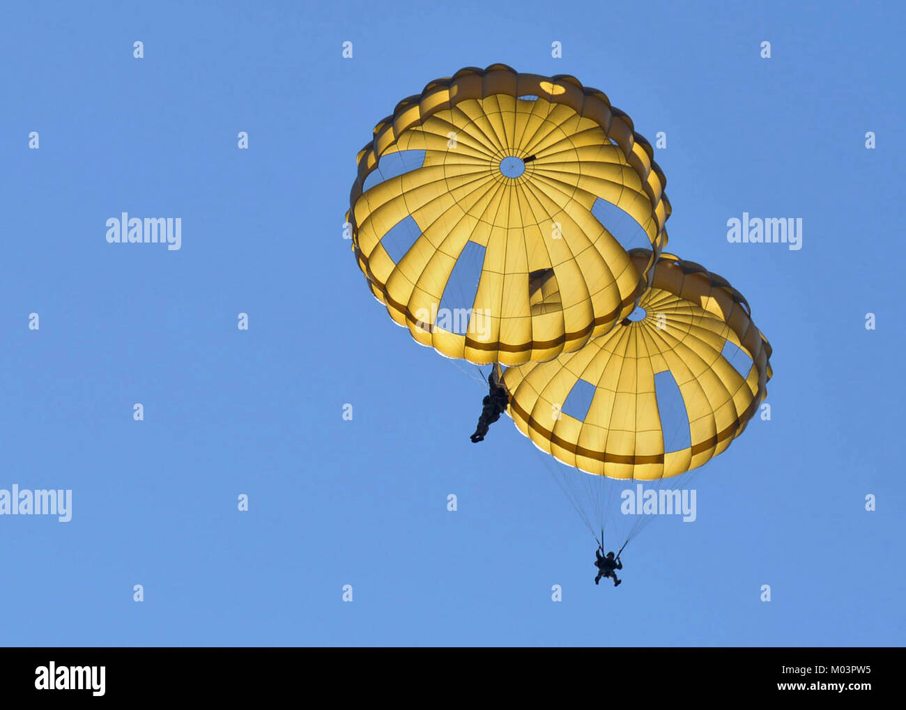 Parachute canopies fill the sky as paratroopers from eight countries ...