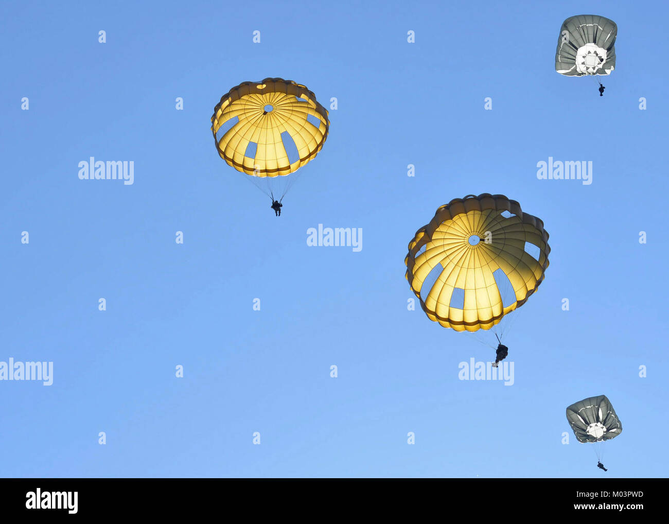 Parachute canopies fill the sky as paratroopers from eight countries ...
