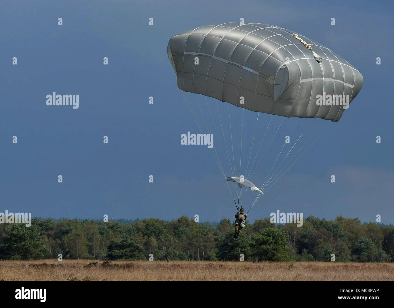 Parachute canopies fill the sky as paratroopers from eight countries ...