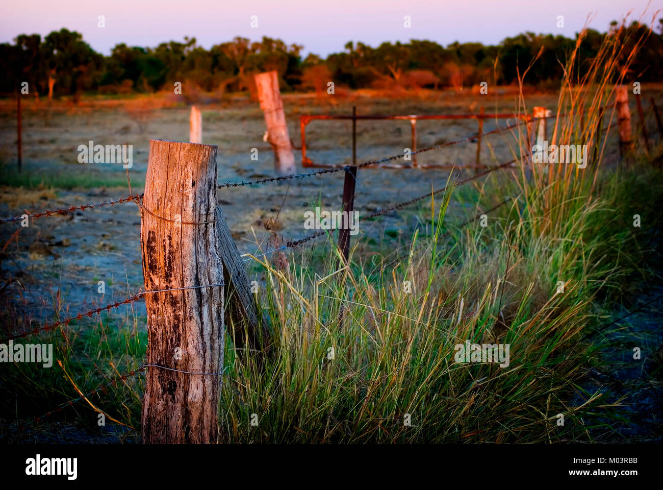 Barbed wire fence with wooden posts Stock Photo - Alamy