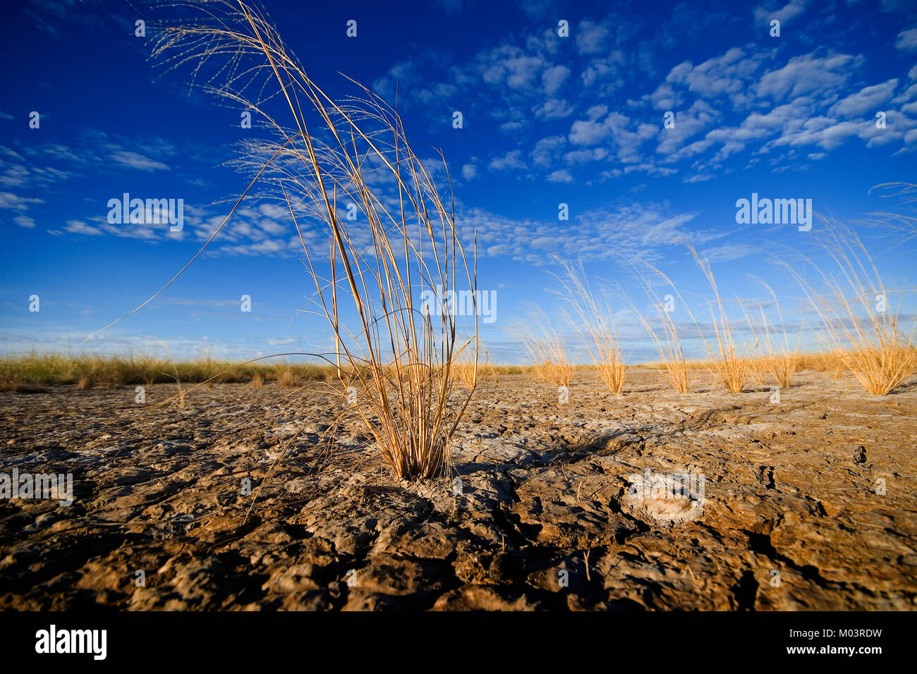 Gulf country hi-res stock photography and images - Alamy