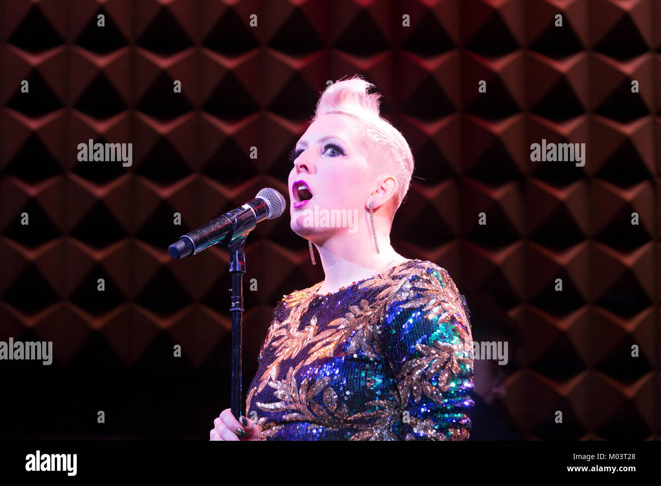 New York, United States. 17th Jan, 2018. Natalie Joe Johnson performs ...