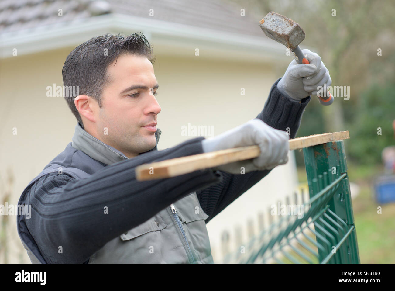 carpenters hands beating nails with an iron hammer Stock Photo - Alamy
