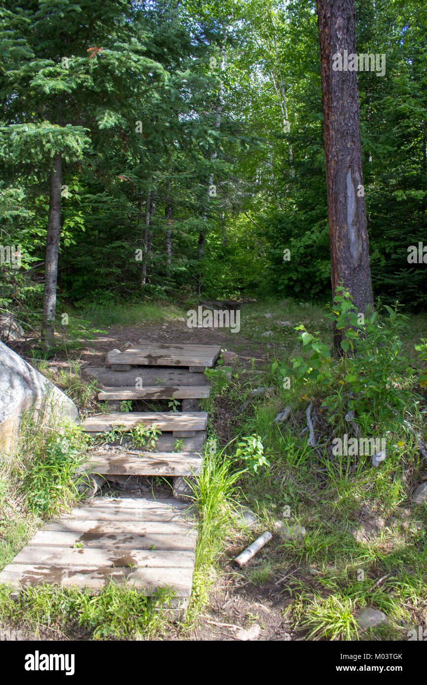 Quetico trip 2016 Stock Photo - Alamy