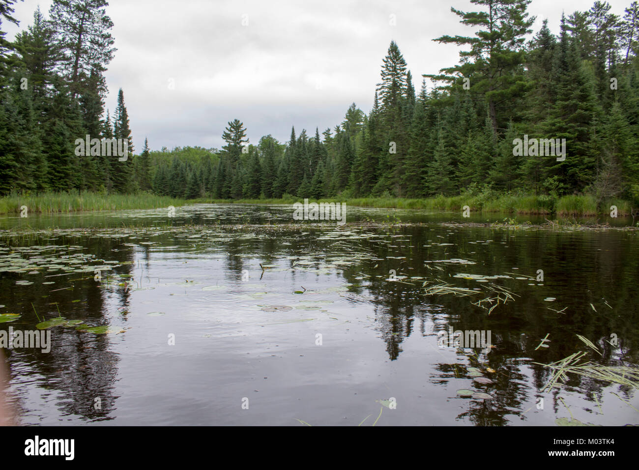 Quetico trip 2016 Stock Photo - Alamy