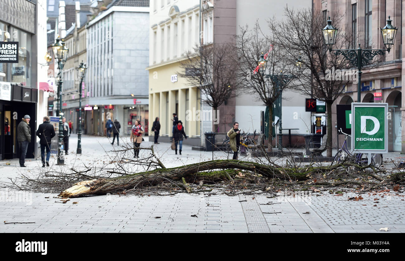 A heavy tree branch was felled by storm "Friederike" in Duesseldorf ...
