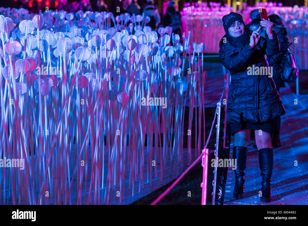 Entre les rangs hi-res stock photography and images - Alamy