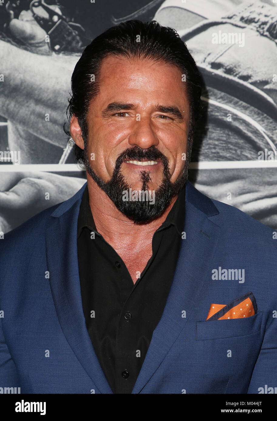 Los Angeles, California, USA. 17th Jan, 2018. 17 January 2018 - Los ...