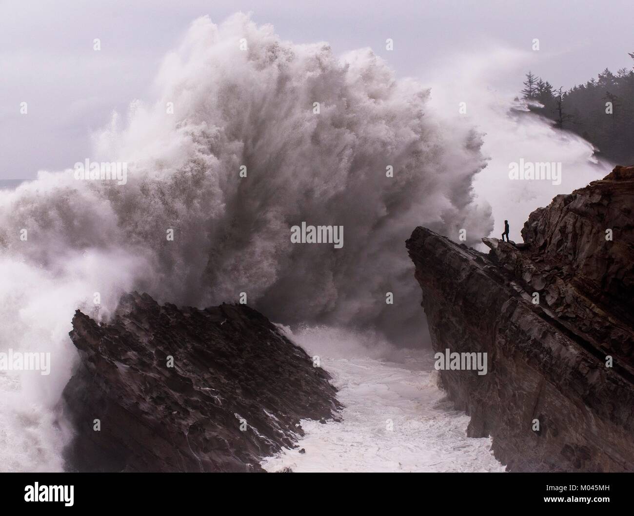 Shore Acres State Park, OREGON, USA. 18th Jan, 2018. JOSEPH KELLER of ...