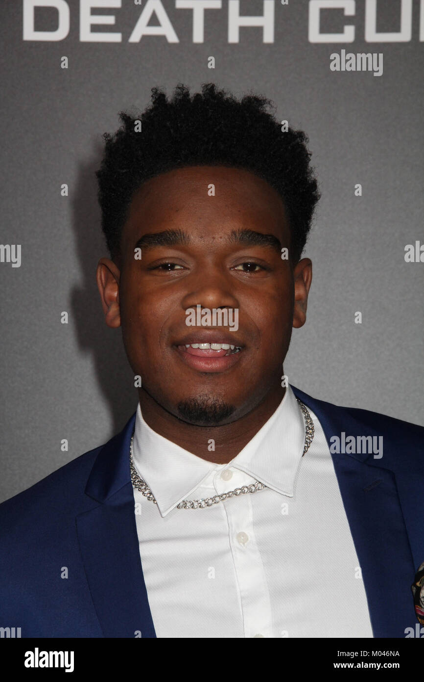 Dexter Darden 01/18/2018 Red Carpet Fan Screening of "Maze Runner: The ...