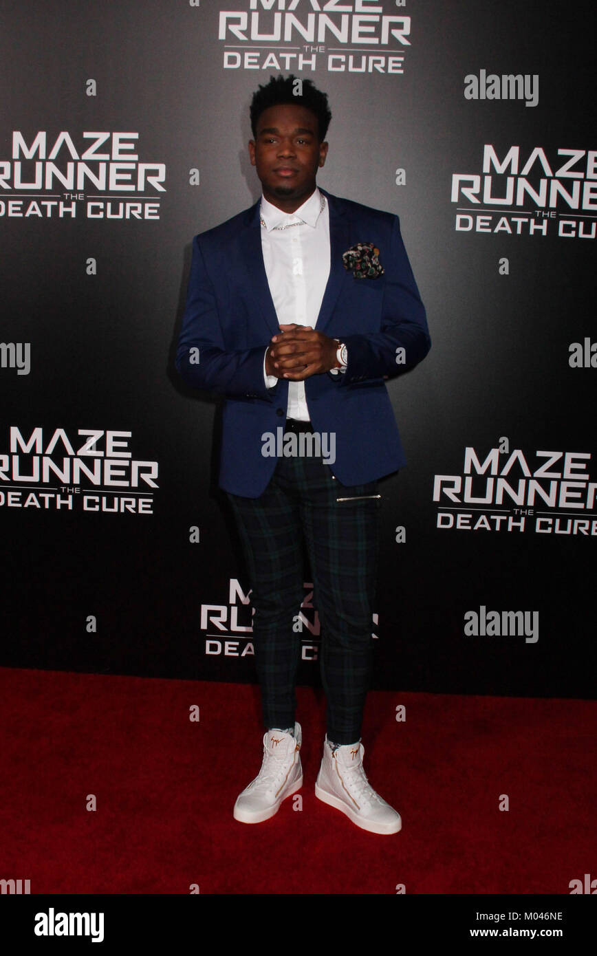 Dexter Darden 01/18/2018 Red Carpet Fan Screening of "Maze Runner: The ...