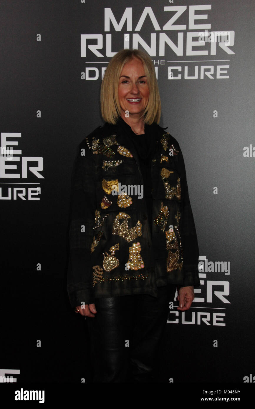 Ellen goldsmith vein hi-res stock photography and images - Alamy