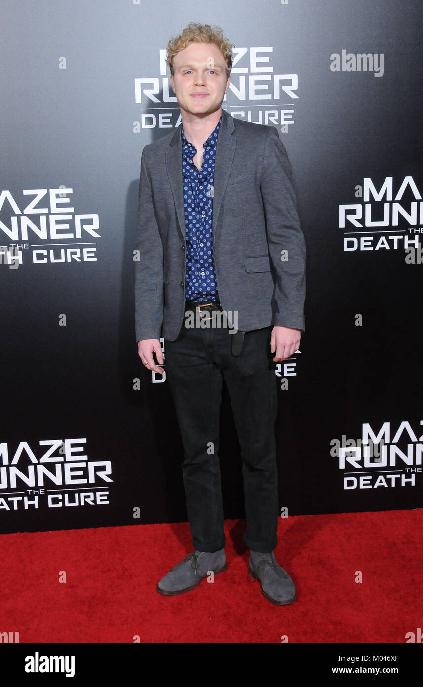 Los Angeles, California, USA. 18th Jan, 2018. Actor Joe Adler attends ...