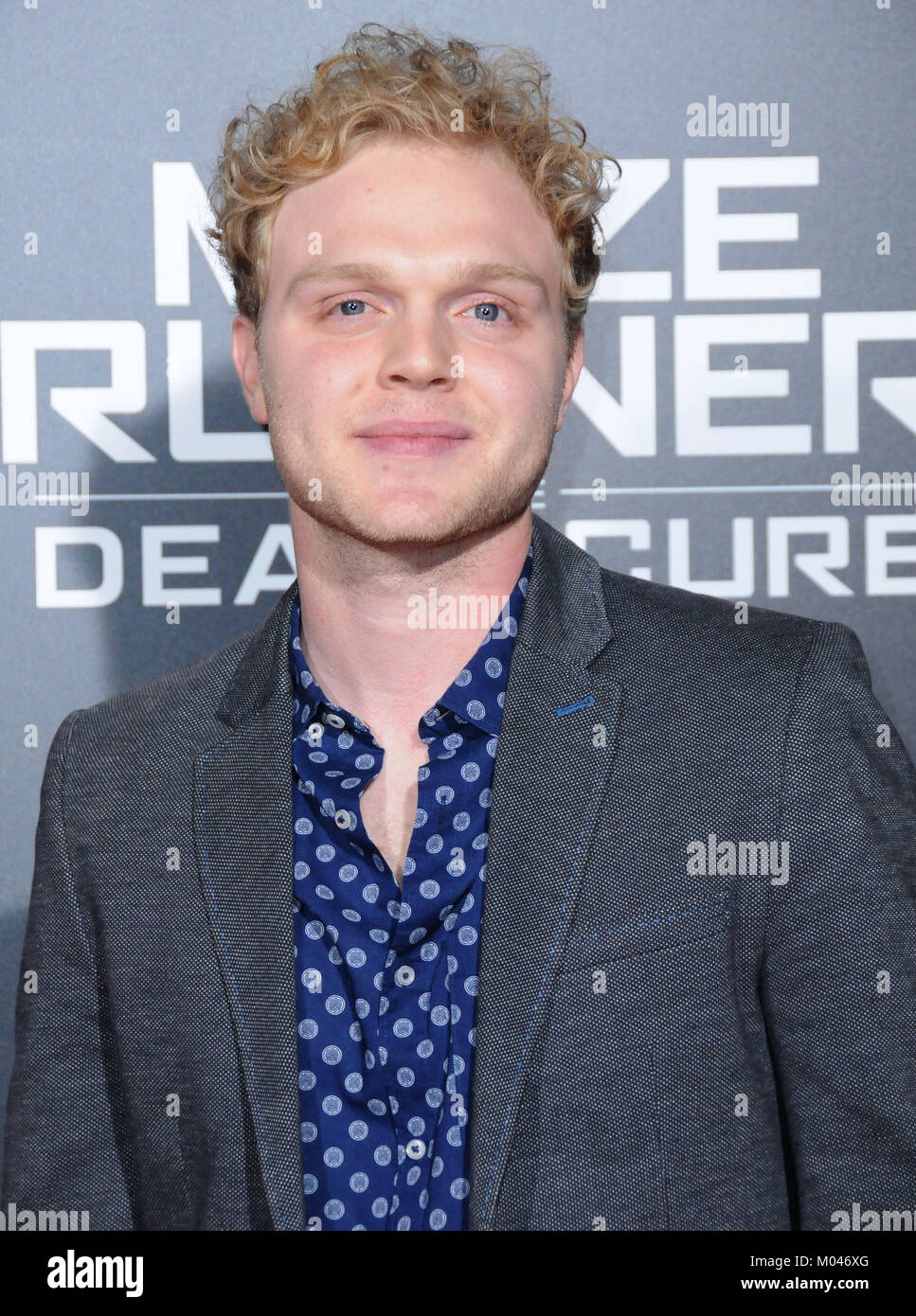 Los Angeles, California, USA. 18th Jan, 2018. Actor Joe Adler attends ...