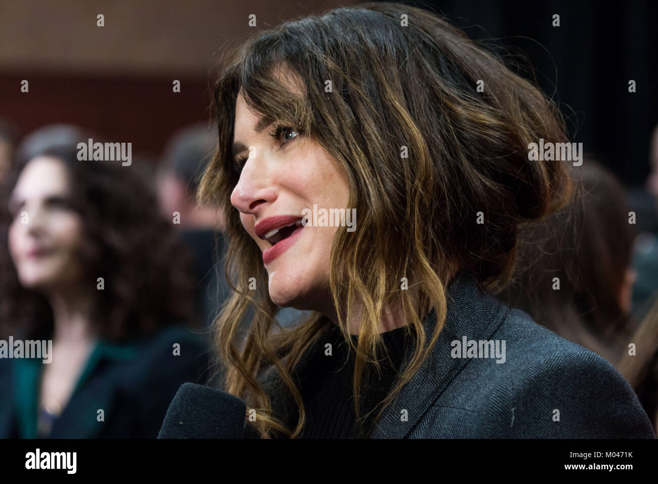 Actress Kathryn Hahn attends the 2018 Sundance Film Festival Premiere ...