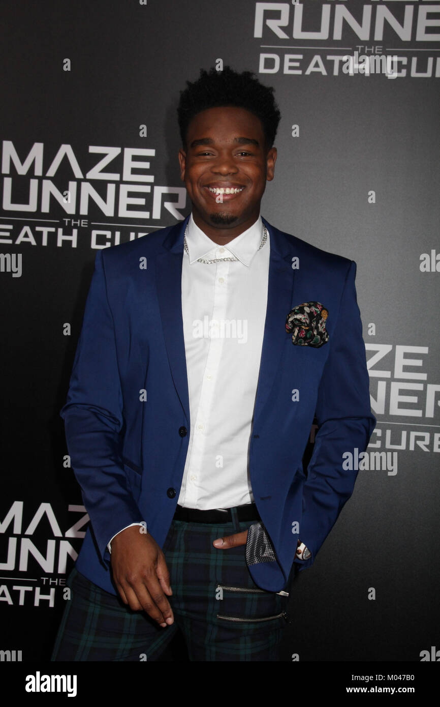 Dexter Darden 01/18/2018 Red Carpet Fan Screening of "Maze Runner: The ...