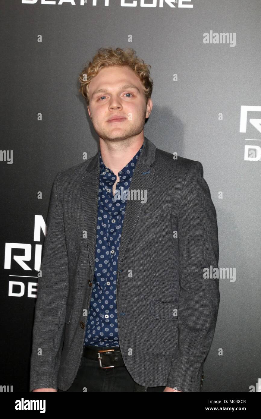 Los Angeles, CA, USA. 18th Jan, 2018. Joe Adler at arrivals for MAZE ...