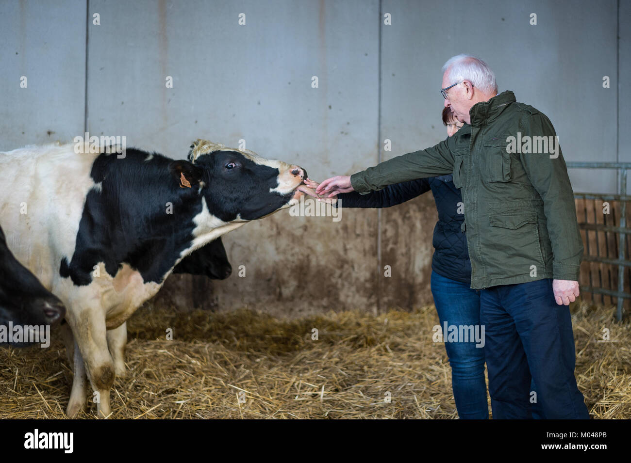 Mojne, Czech Republic. 19th Jan, 2018. Presidential candidate Jiri ...
