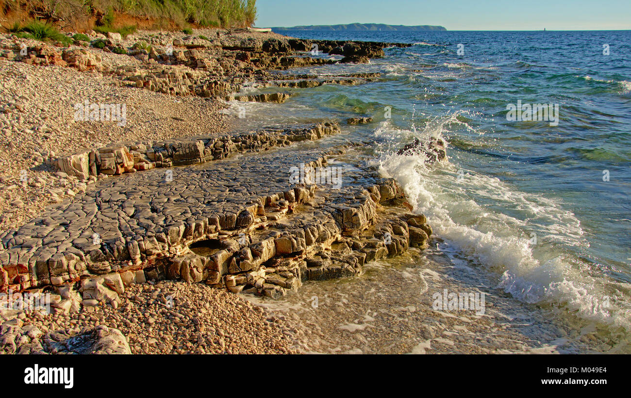 Volcanic limestone rock beach of Cunski, Croatia, with maquis ...