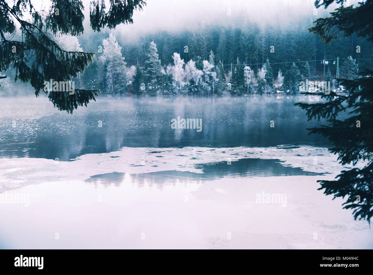 Frozen lake in the forest hi-res stock photography and images - Alamy