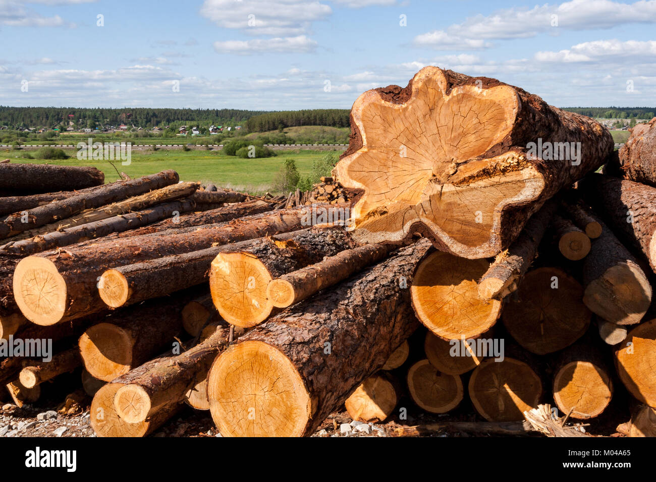Round timber hi-res stock photography and images - Alamy