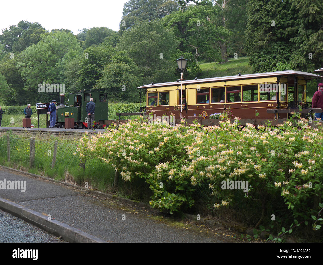 Train standing at Welshpool station on the Welshpool and Llanfair light ...