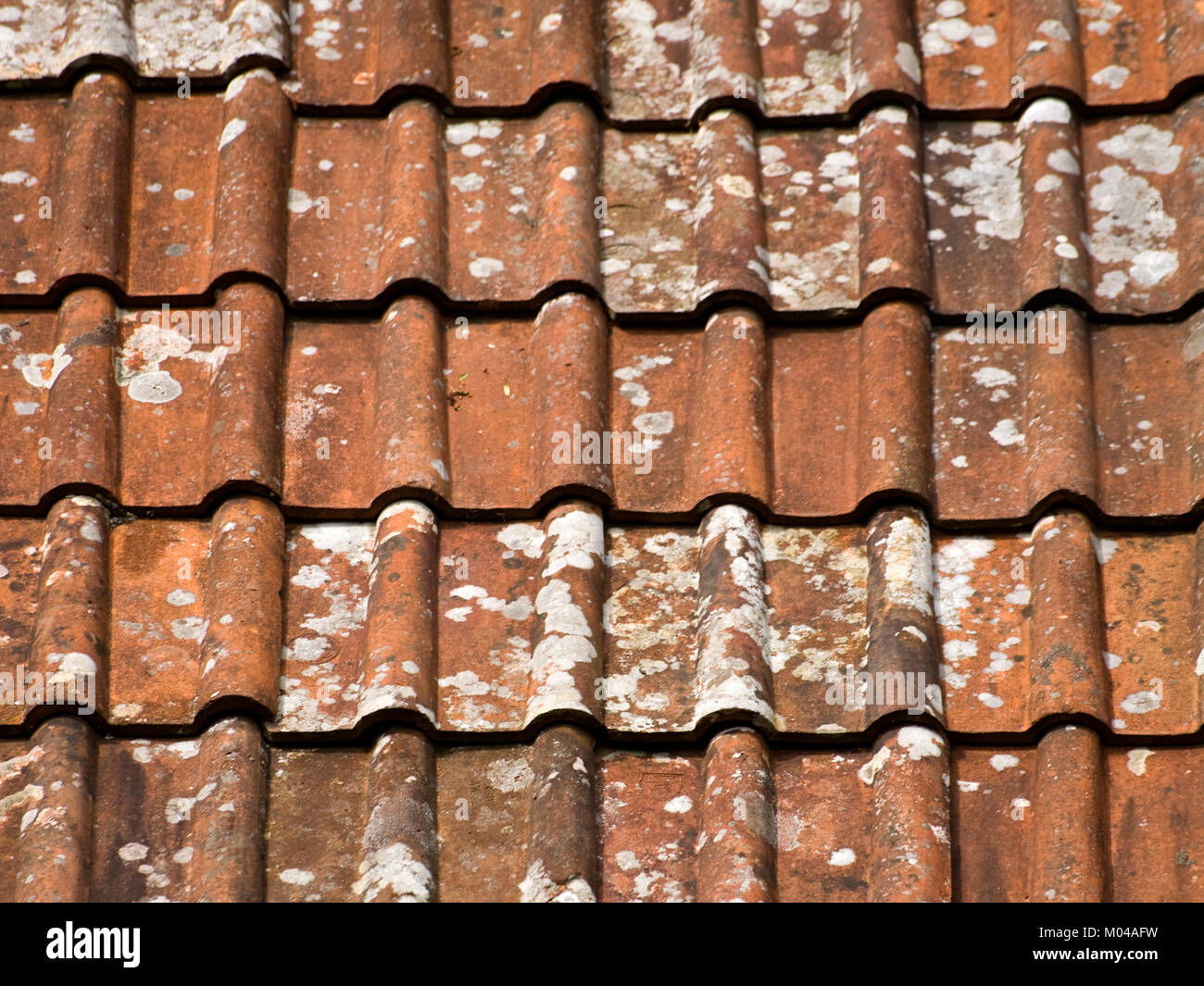 Pantile roof hi-res stock photography and images - Alamy