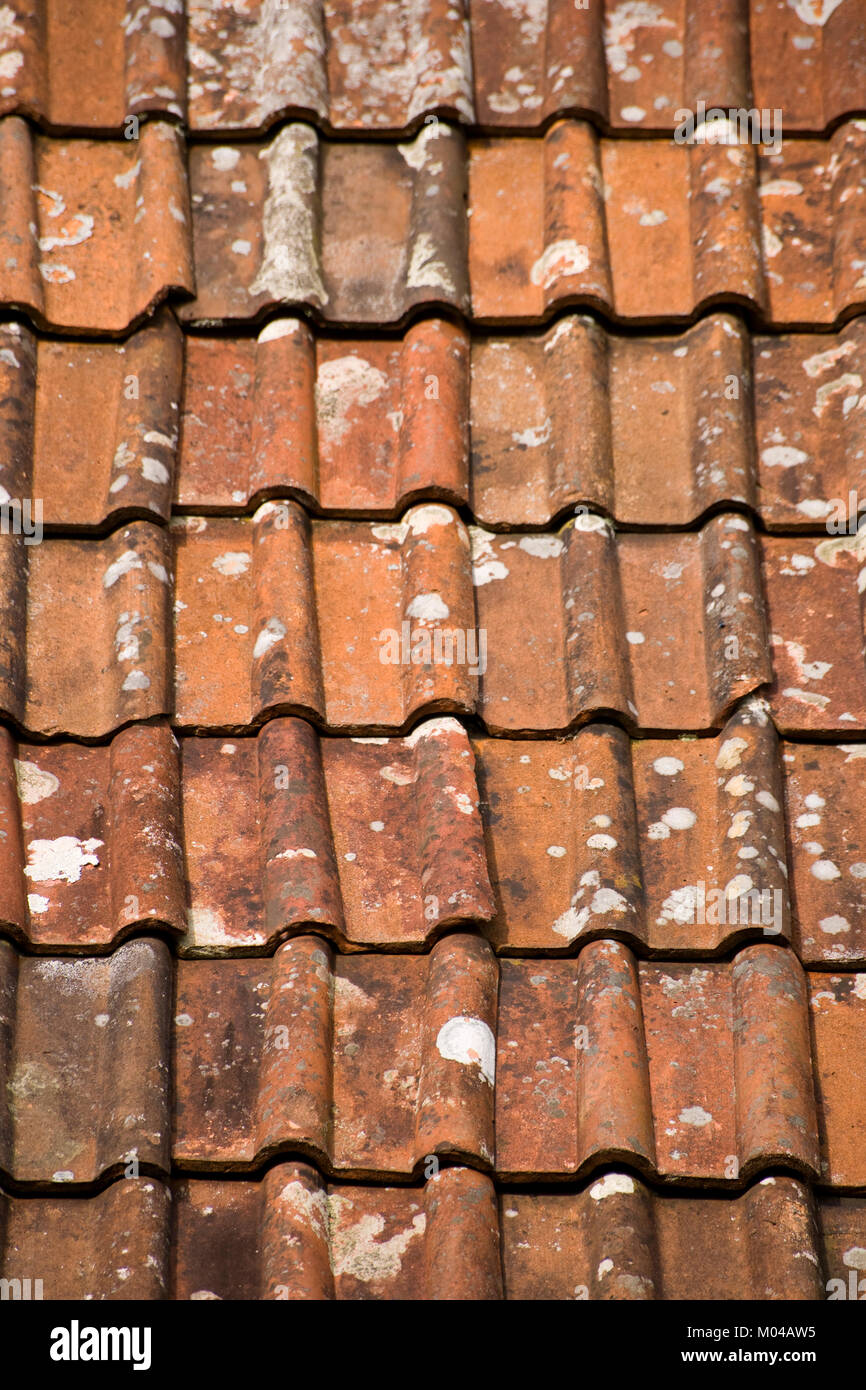 Pantile roof pattern full frame background close up Stock Photo - Alamy