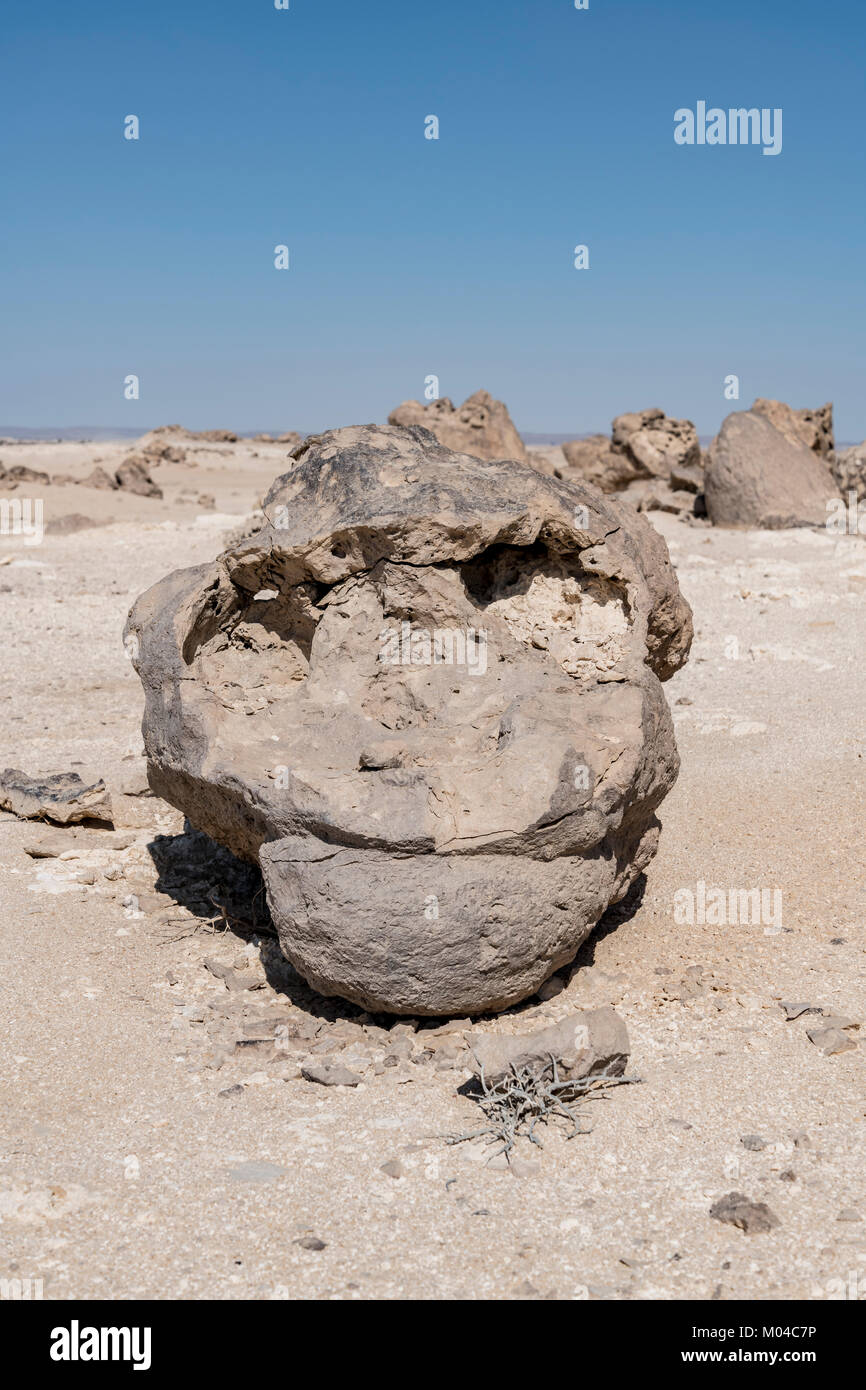 Rock looking like a Monkey head at Rock Garden (Rock Zoo of Duqm or ...